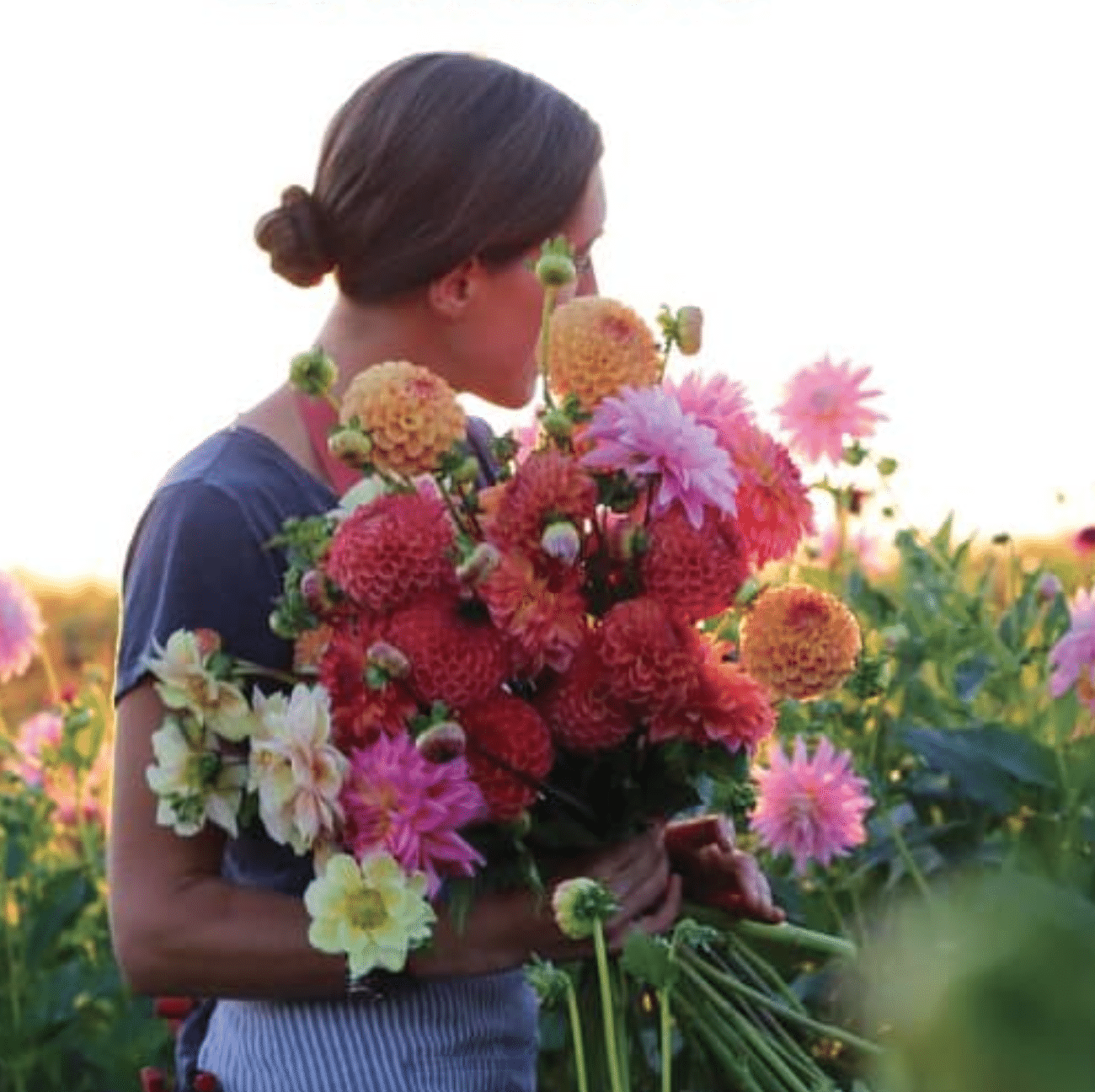 boek A Year in Flowers | Erin Benzakein – Blommm