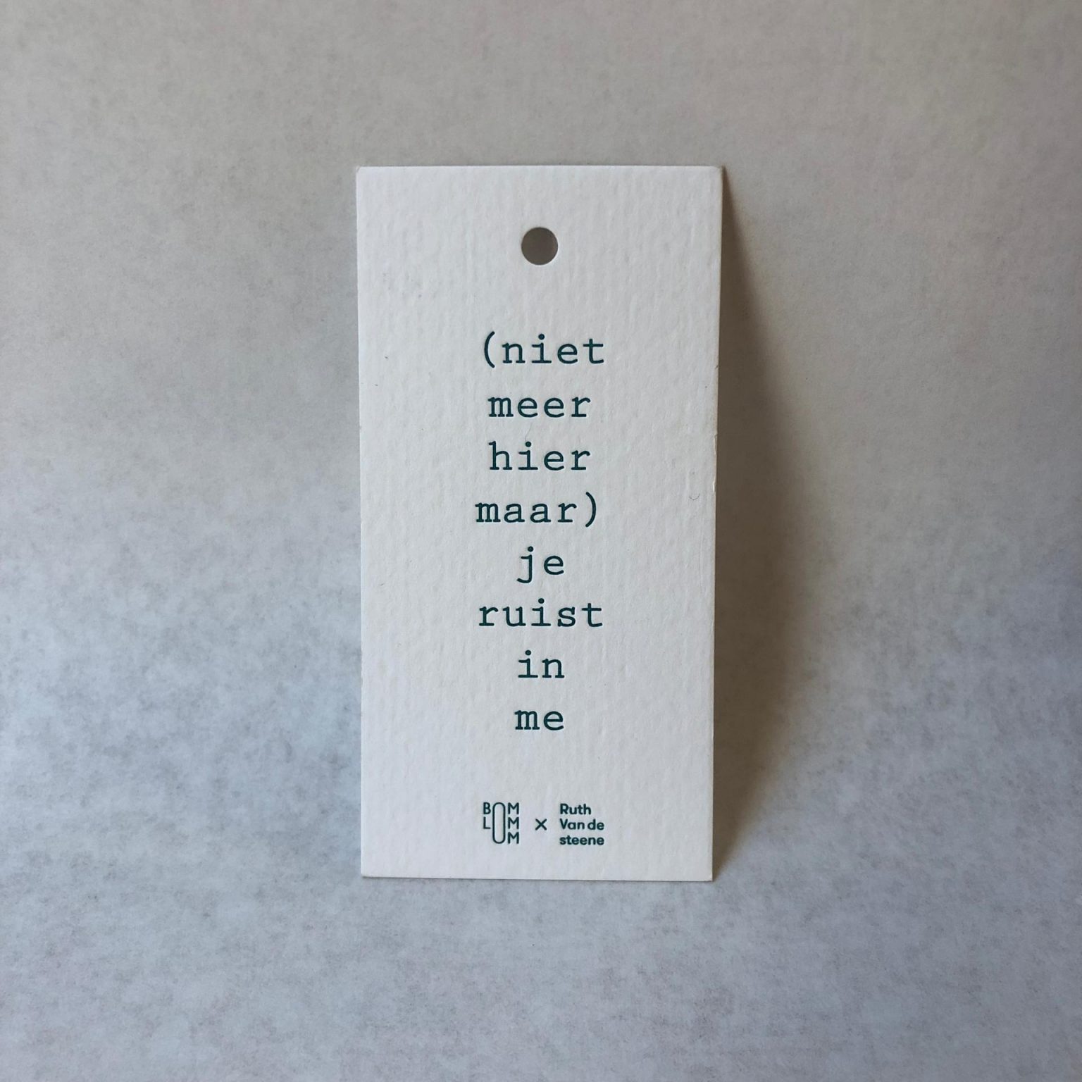 Een boom vol herinneringen I Britta Teckentrup – Blommm